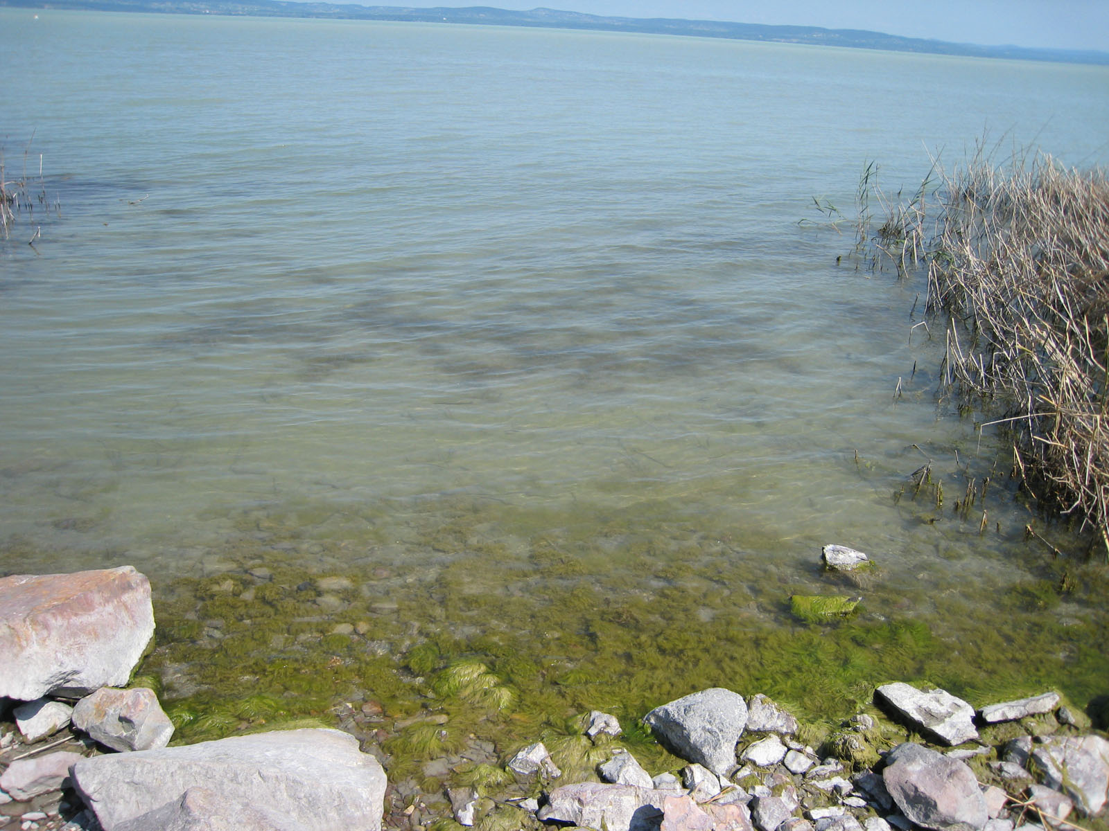 Photos et Voyages: Hongrie - Hungary - Lac Balaton - Heviz