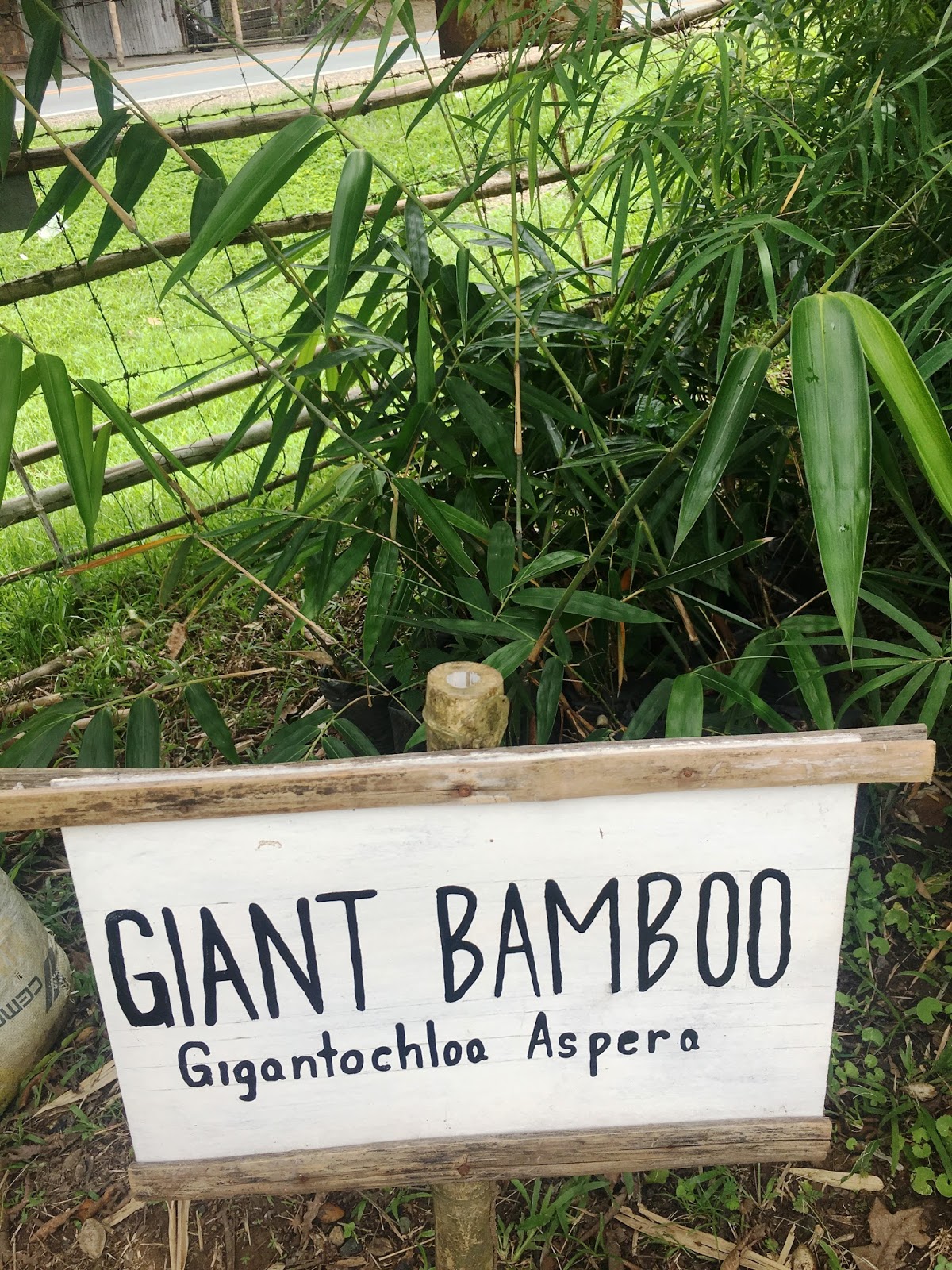 Bicolano Penguin: KAWAYAN FARM RESTAURANT: A Pleasant Surprise in the ...