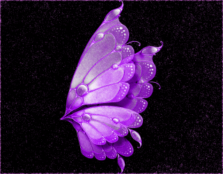 News Butterfly: Butterfly Animation