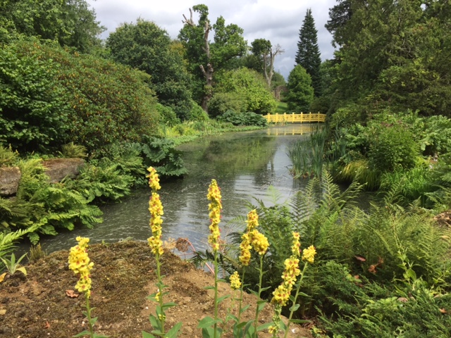 National Trust Scones: Woolbeding Gardens