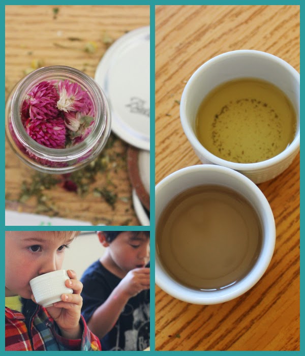 scrumdilly-do!: tea tasting in the classroom