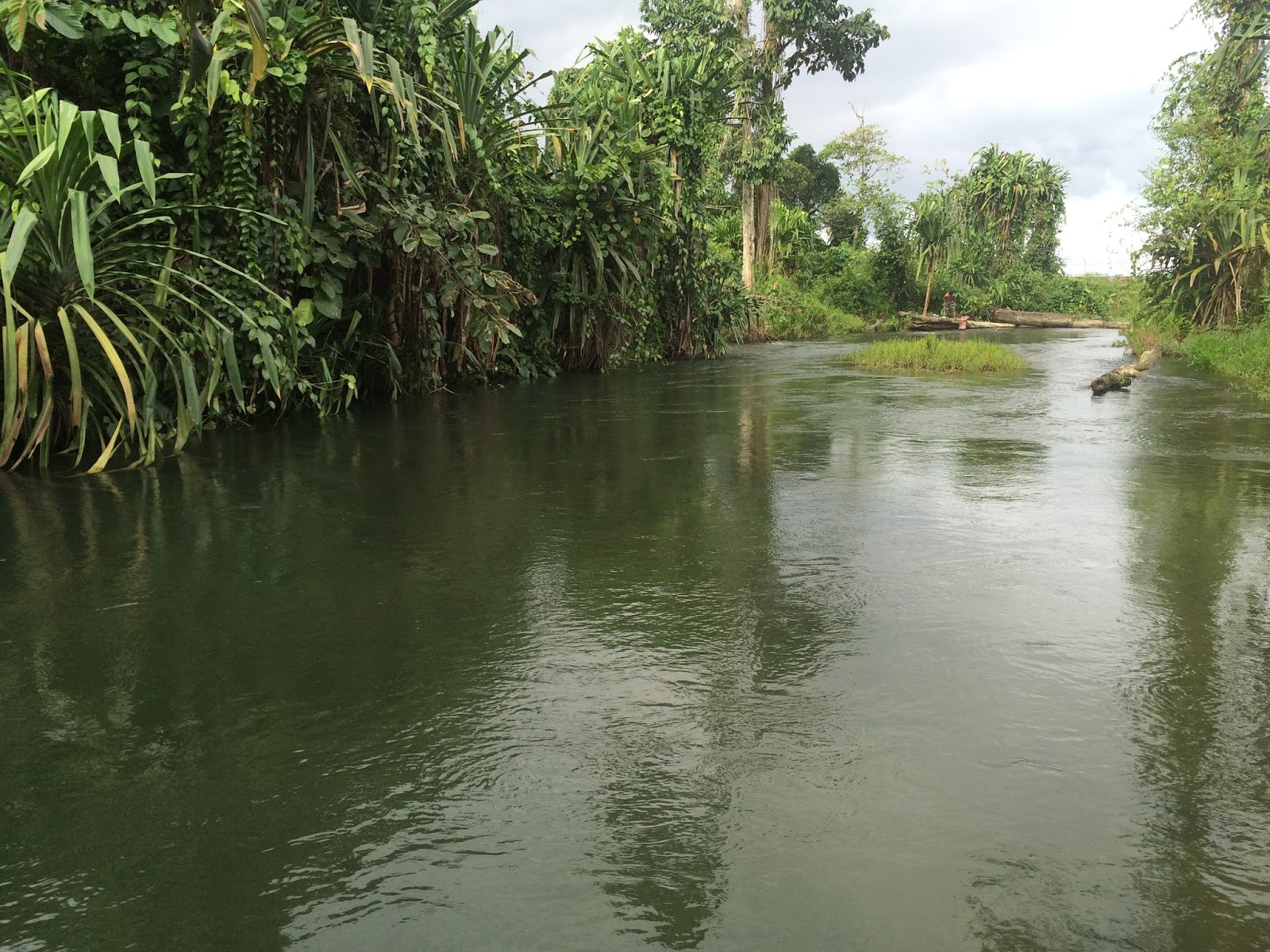 6 Wisata Kali di Timika