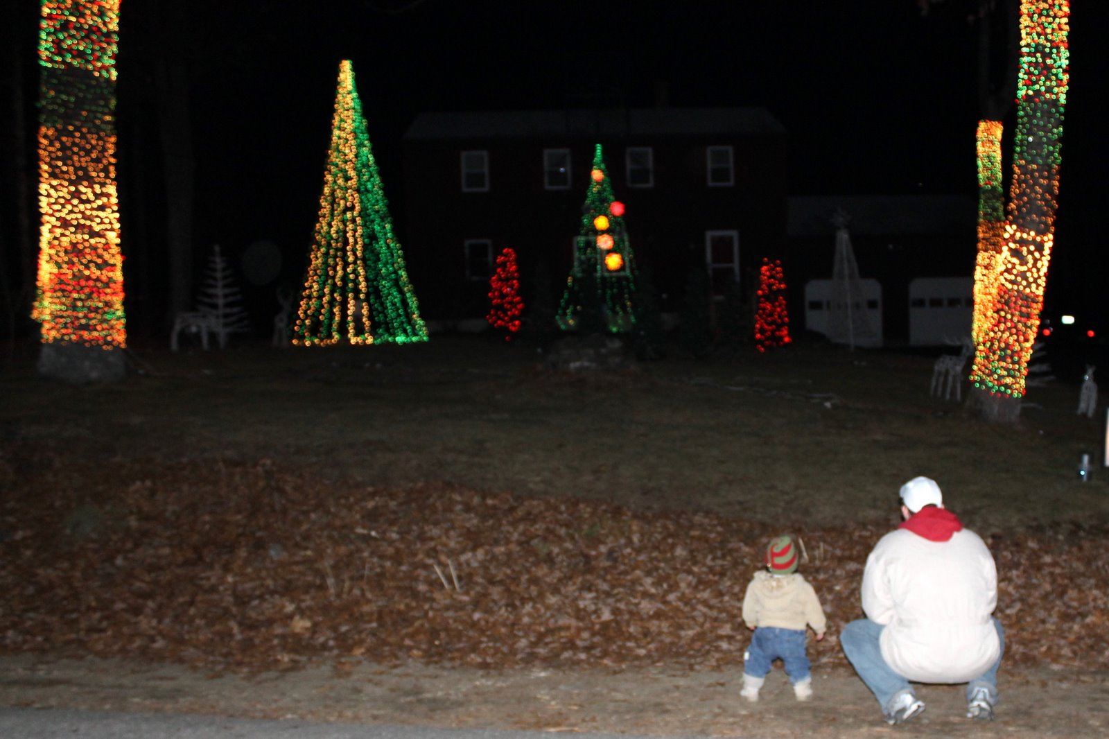 born imaginative.: Christmas Tradition: Norton Lights