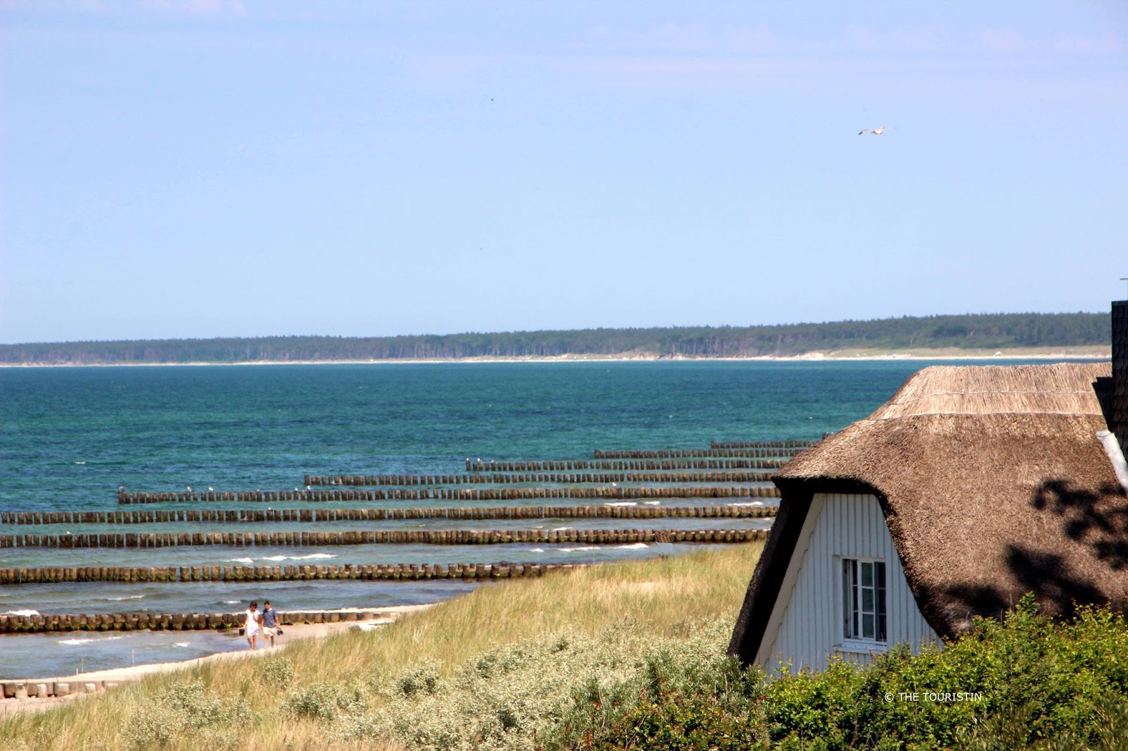 THE TOURISTIN: A guide to Ahrenshoop in Mecklenburg Western Pomerania