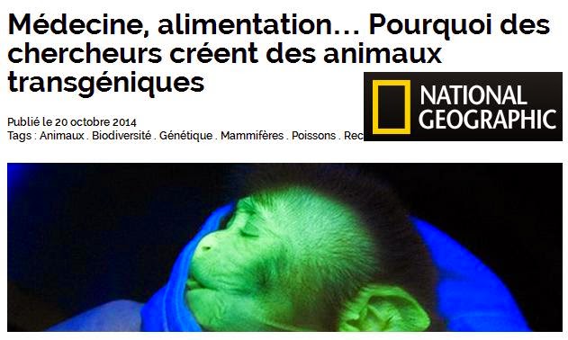 Saumon de Norvège. Comment noyer le poisson