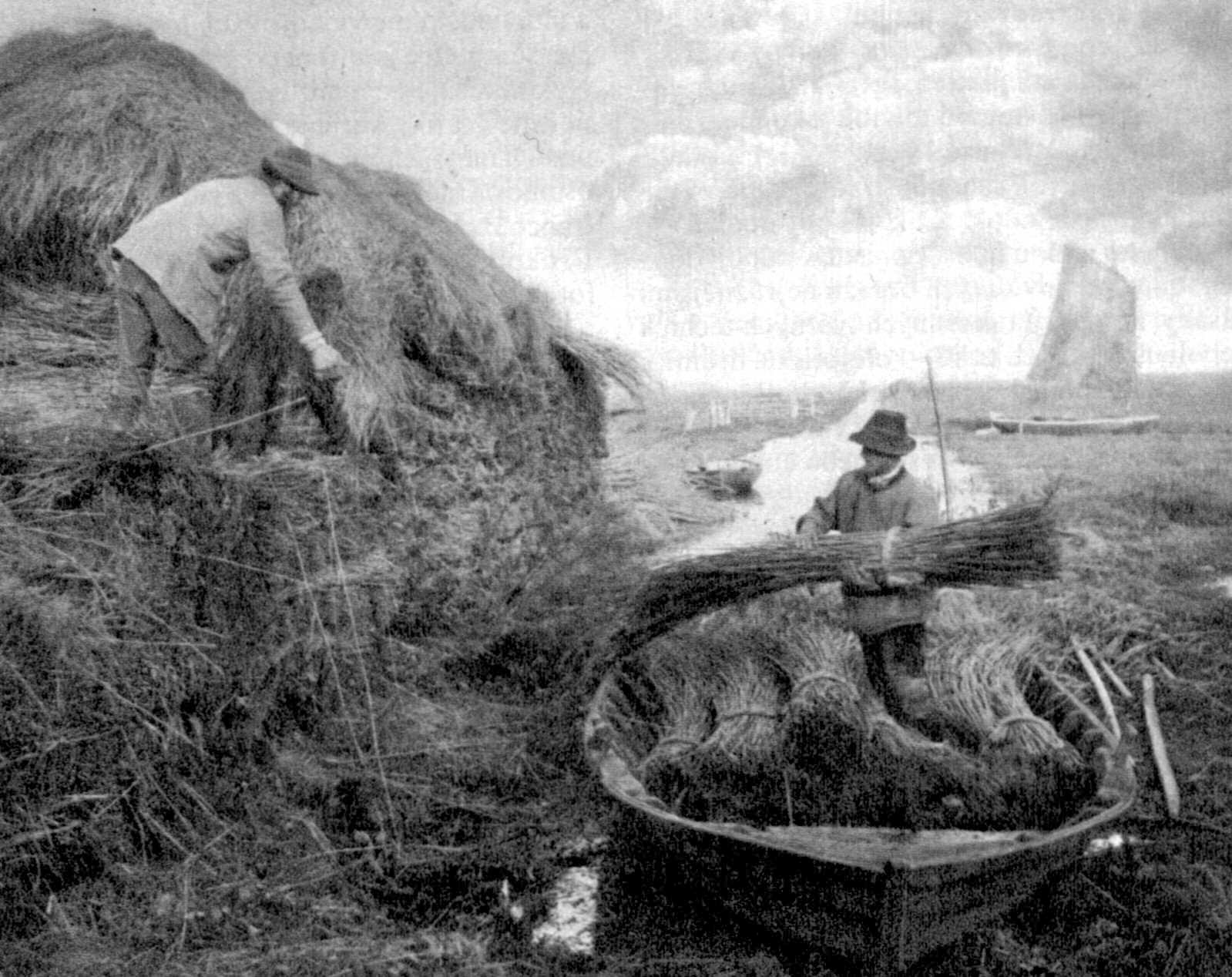 Corfu Blues and Global Views: Peter Henry Emerson, 1856-1936; Early ...