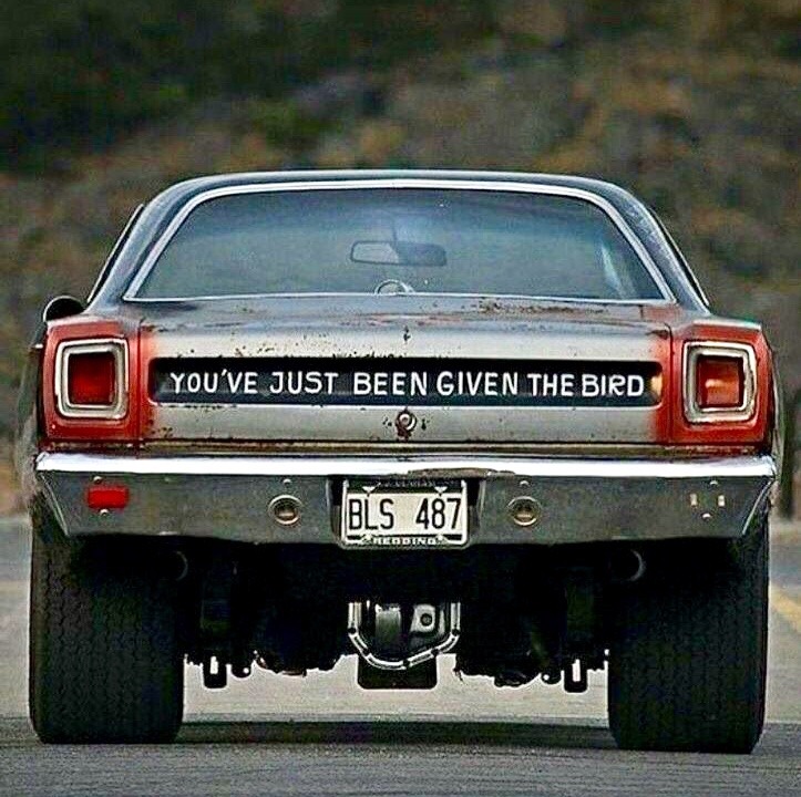 Just A Car Guy: good morning