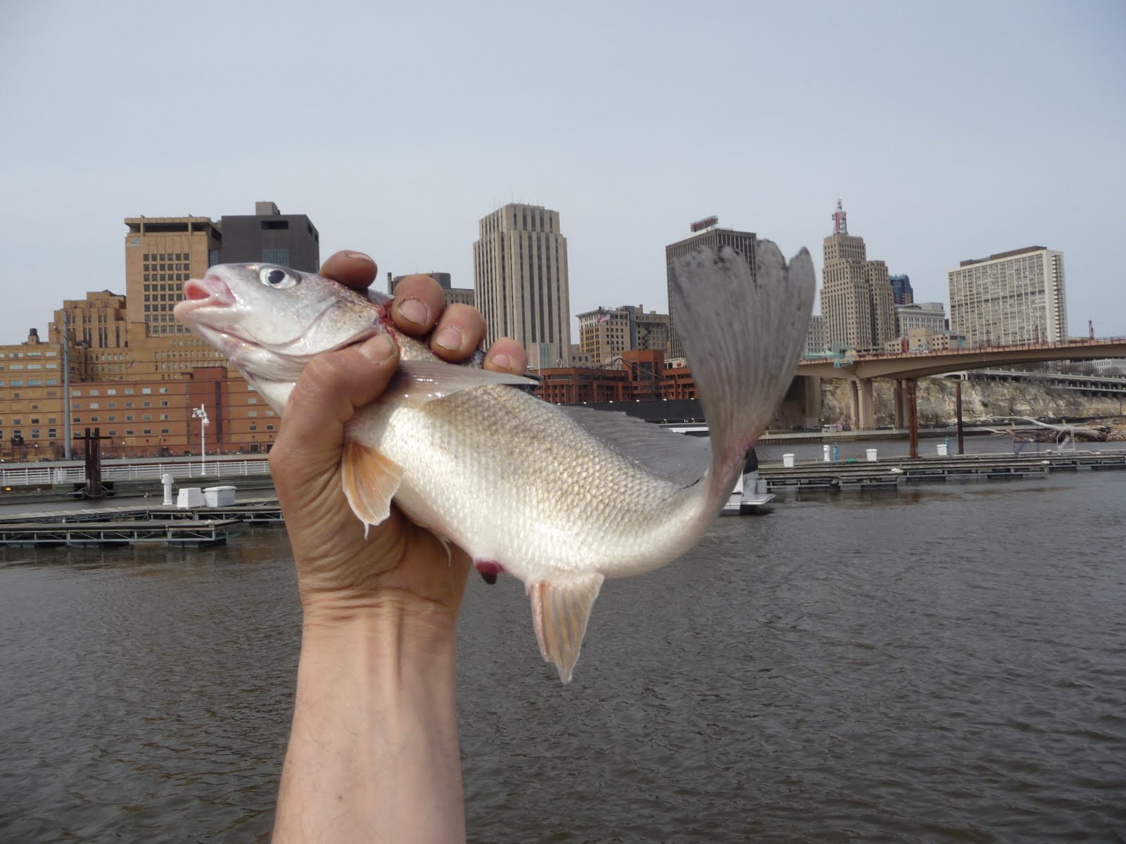 Gone Fishing: The first fish of the season: a thunder pumper hoisted ...