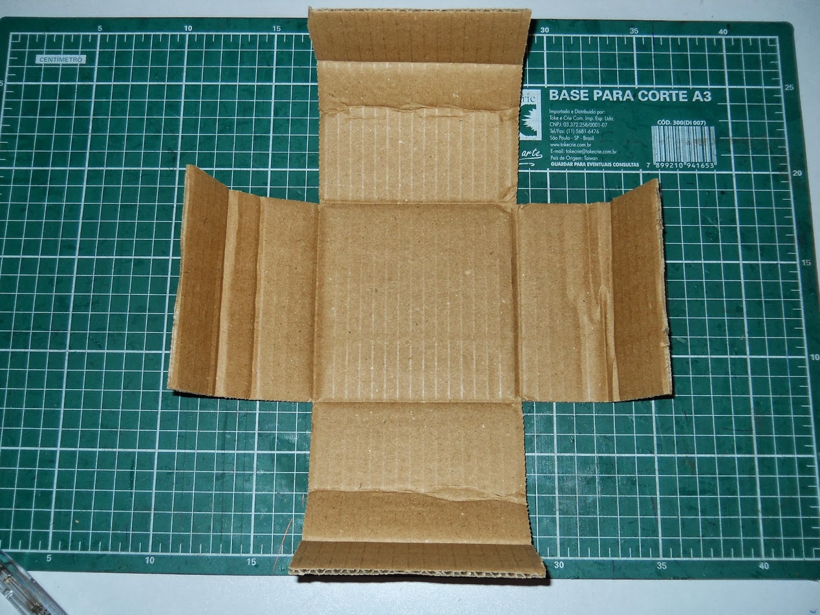 blog da neri: Cachepó de Papelão