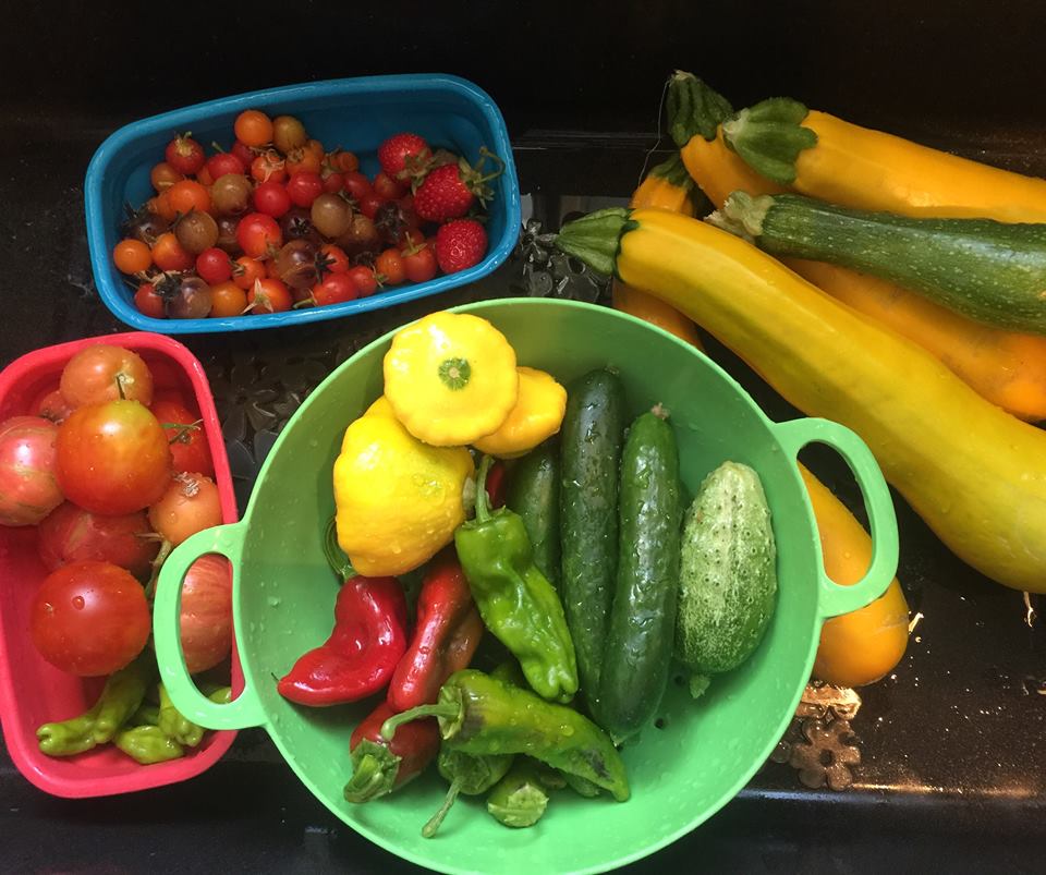 Big Rick Stuart from Napa Valley To The World: Instant Pot Chicken and ...