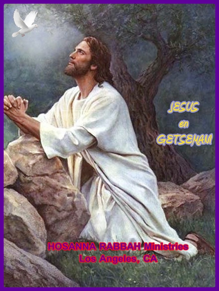 .: JESUS EN GETSEMANI