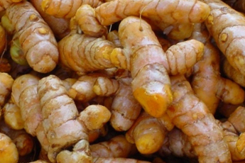 BUKU PINTAR KABUPATEN WONOGIRI: Pengobatan Herbal Ala Wonogiri "Kunyit ...