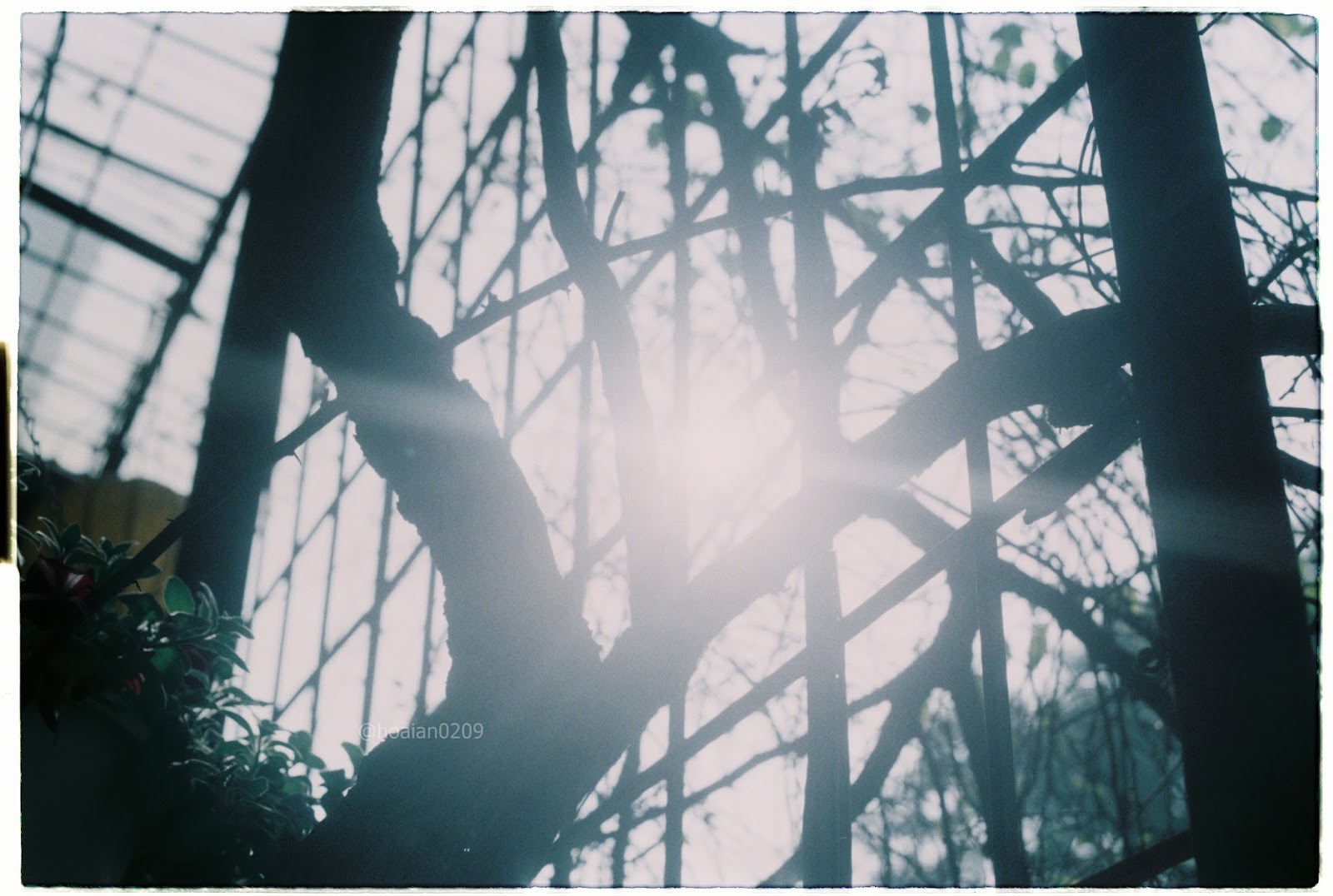 BEAUTIFUL THINGS - Wild and Young