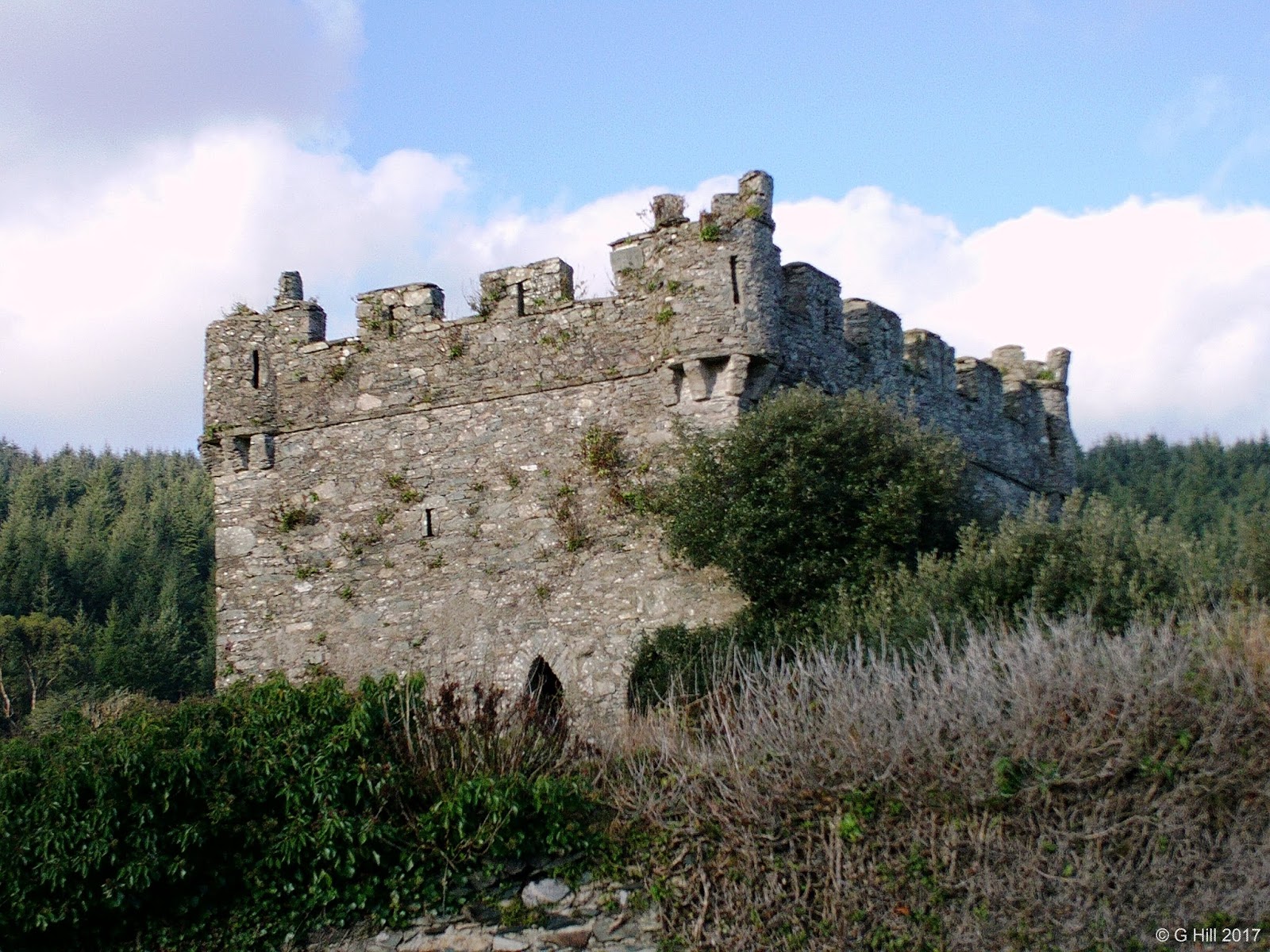 Ireland In Ruins: Kiltimon Castle Co Wicklow