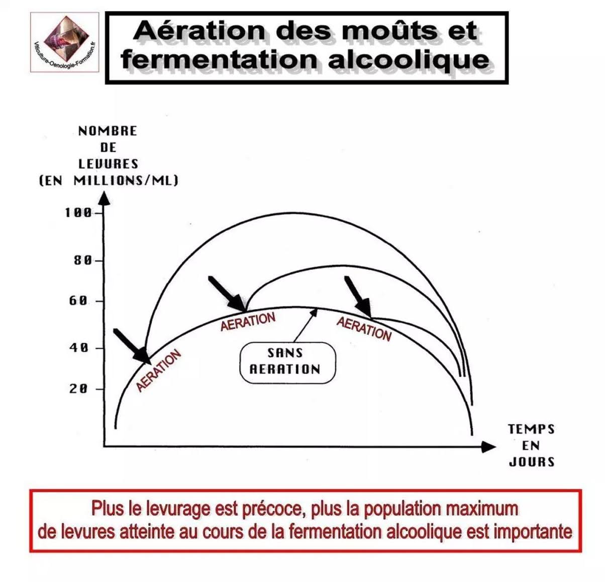 Cours Œnologie - Michel VERON: Aération des moûts et fermentation ...