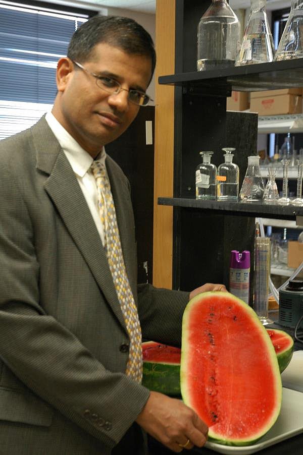 Fanatic Cook: Watermelon, Why Not