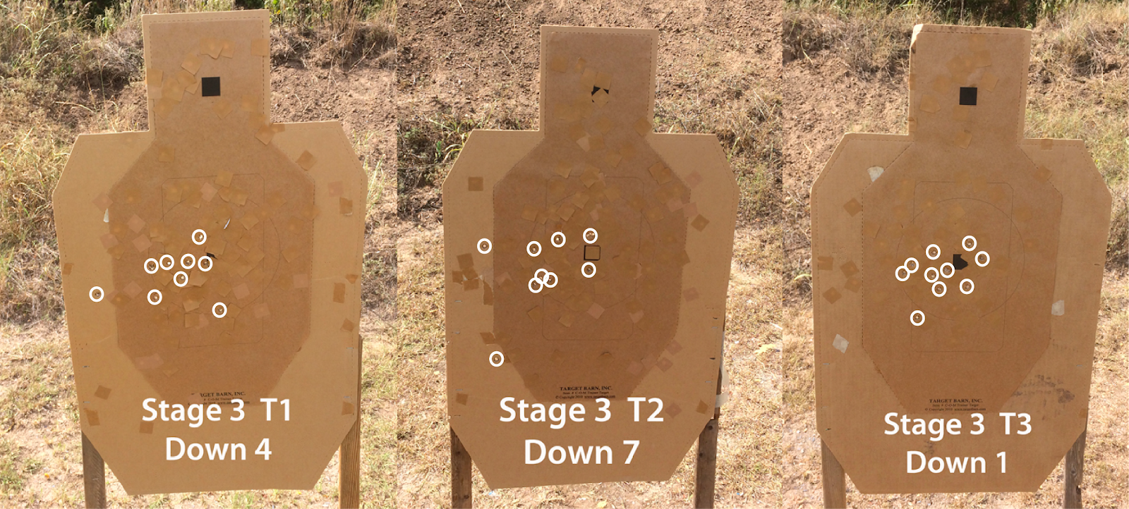 Sensible Self Defense: Practice 2018 - The Original IDPA Classifier