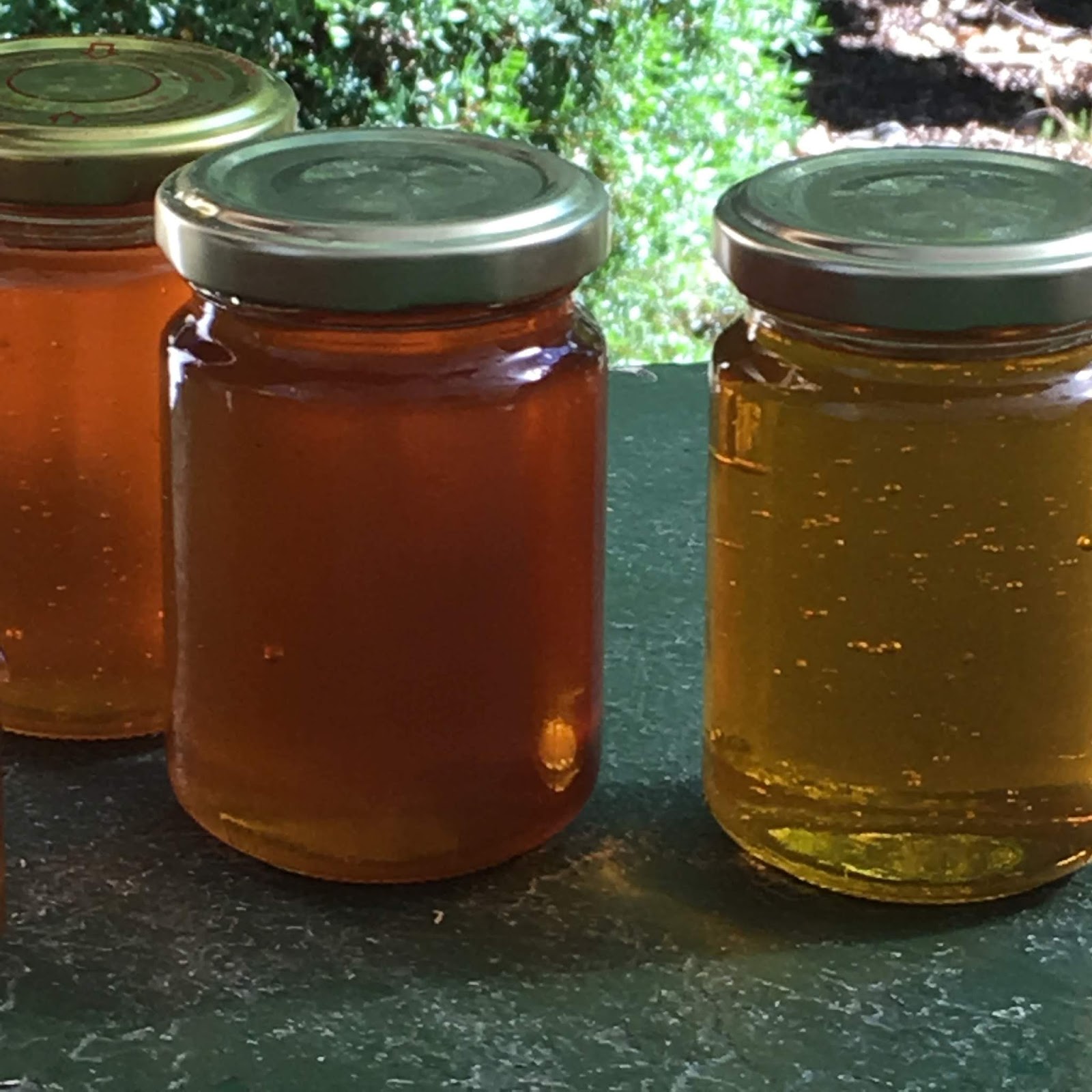 L'Association MAIA : MIEL! mise en pots