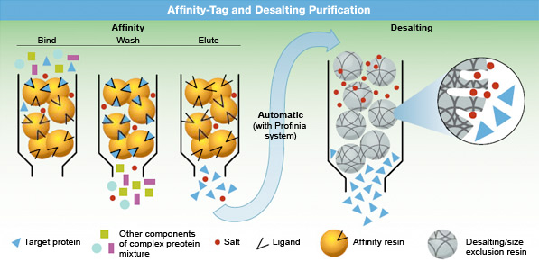 My Scientific Blog - Research and Articles: AFFINITIY CHROMATOGRAPHY