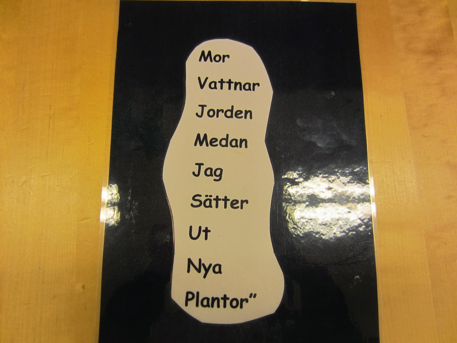 Svansjöbobarnen13/14: Solsystemet