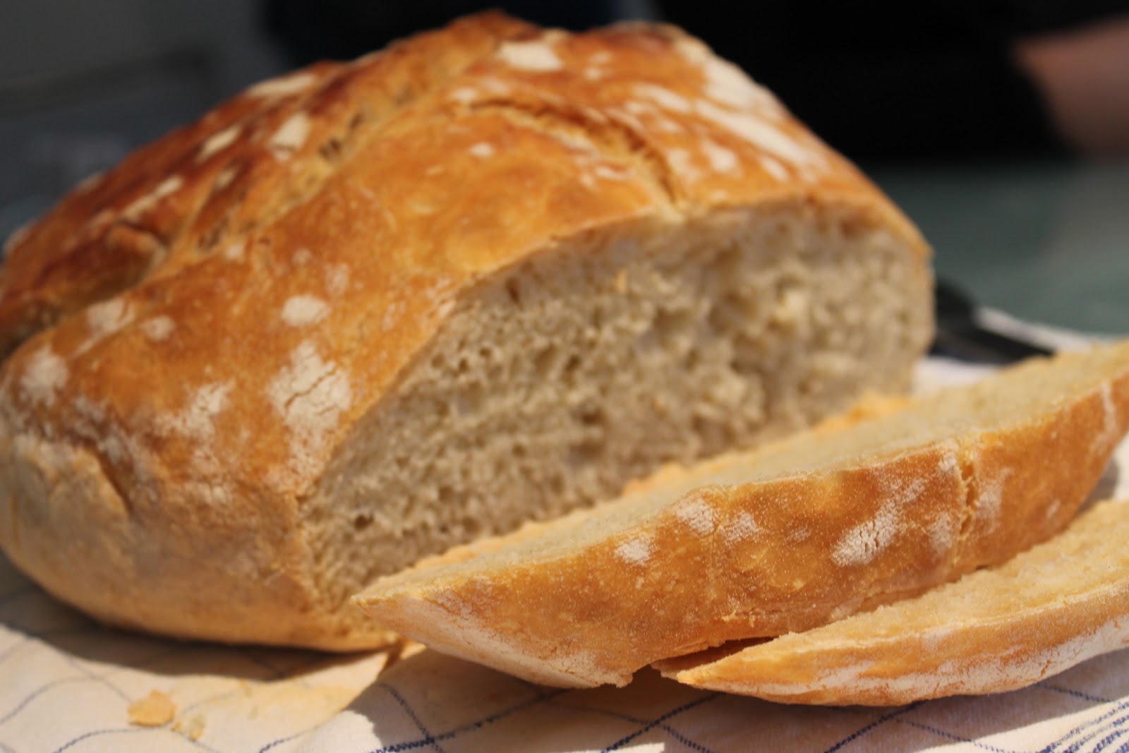 Wandering Bread: First Bread Ever