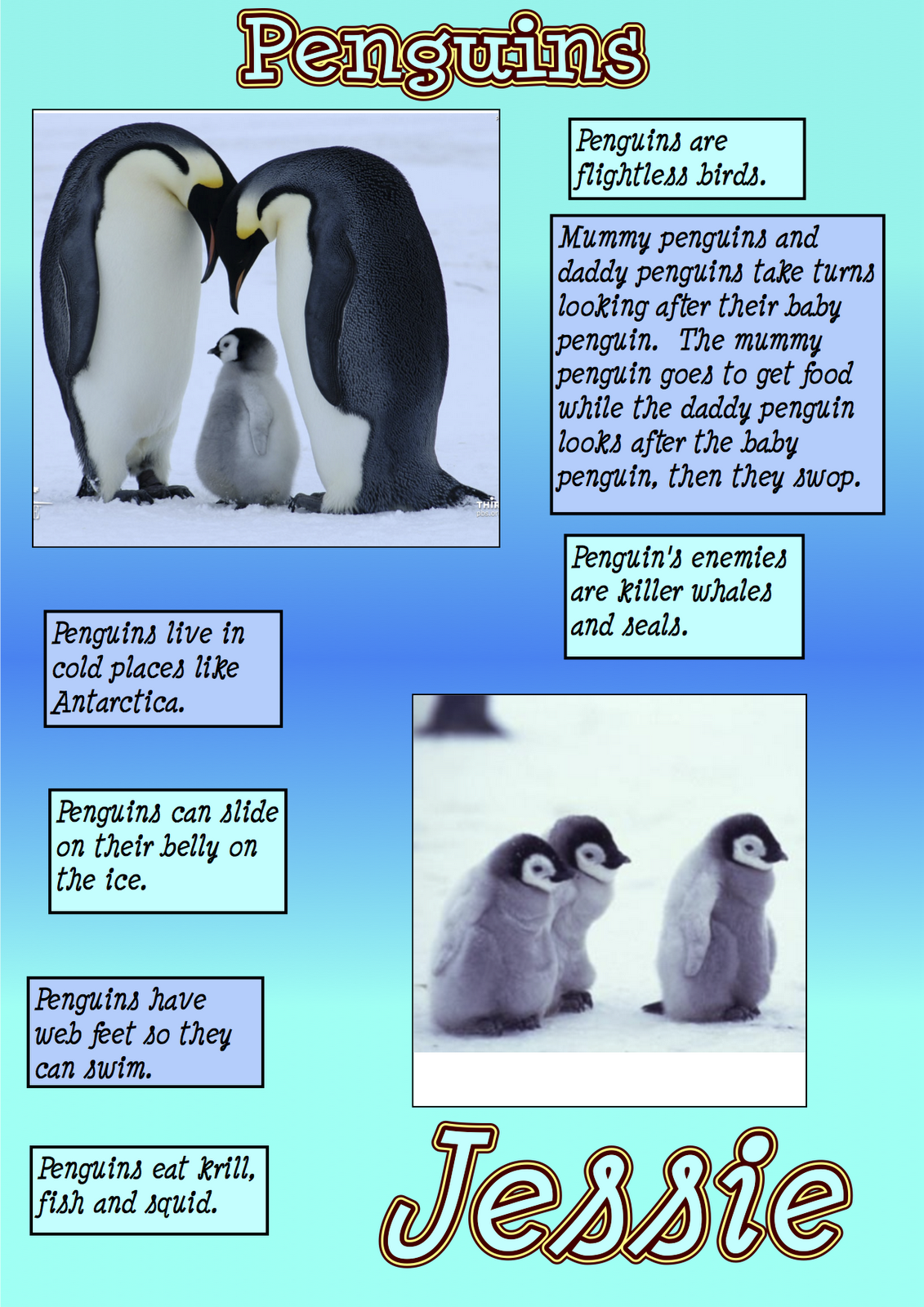 SPS Superstars: Penguin Posters