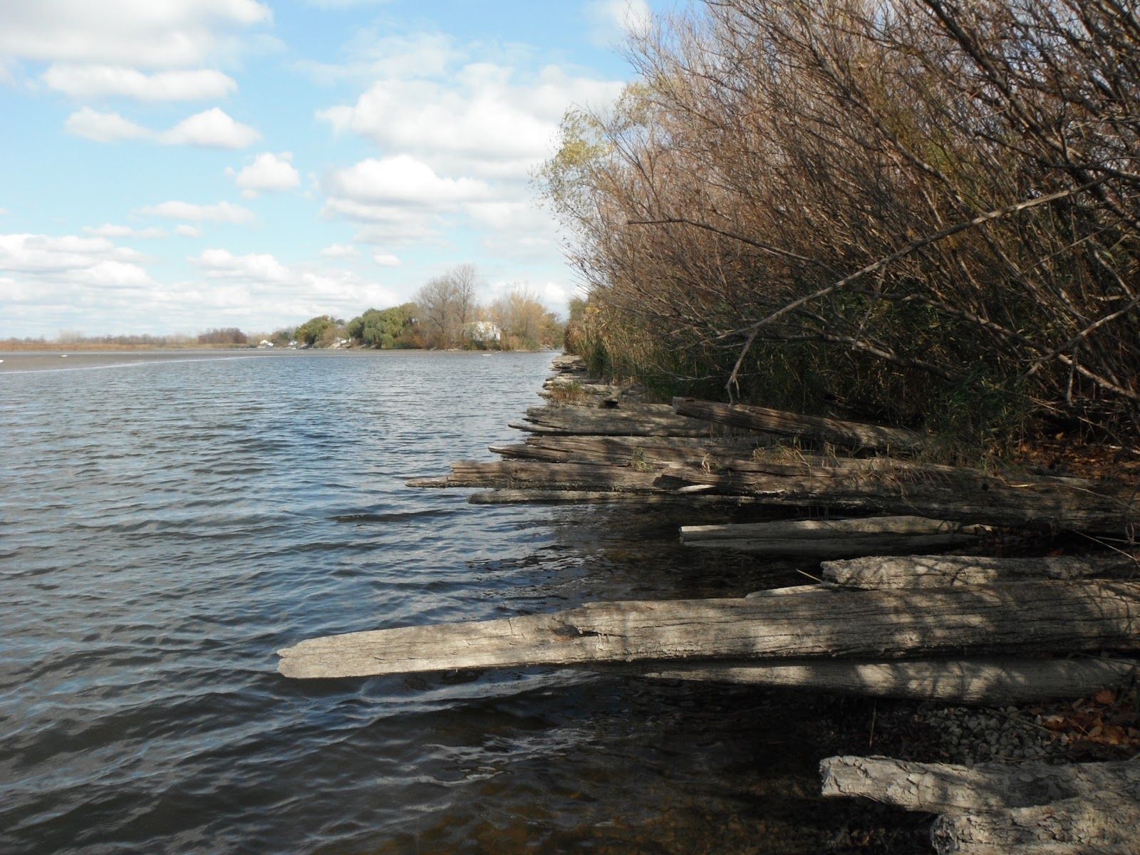 The Old Northwest Notebook: Hull's Trace on the 1817 Topographical ...