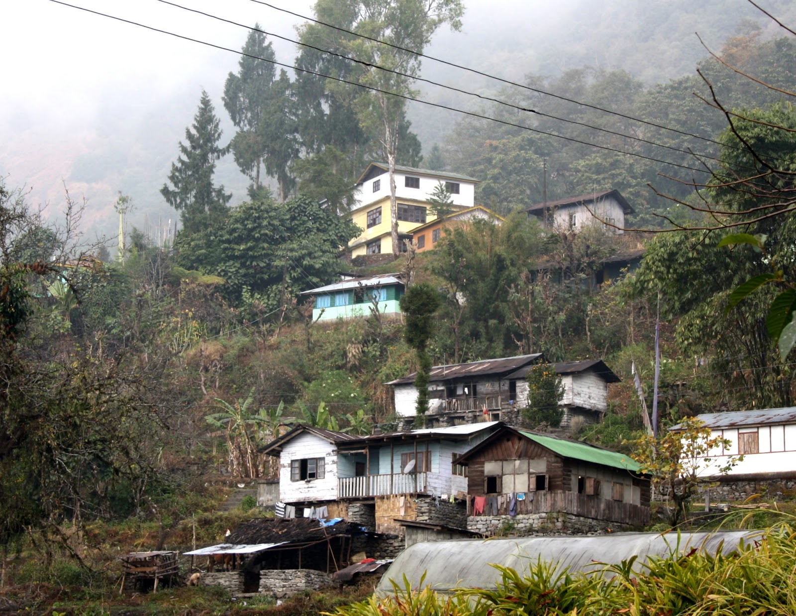 Travelling in North Sikkim: Tingvong Village, Upper Dzongu