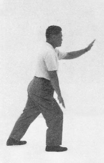 Tai Chi Chuan (Square Form) 24. Step Back And Repulse Monkey
