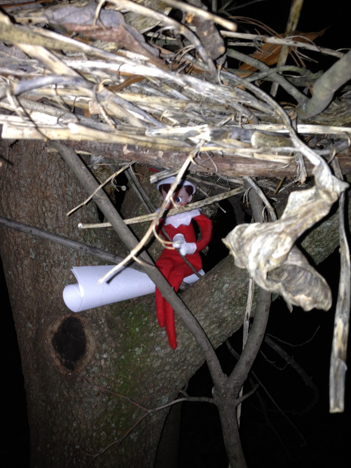 The Full Plate Blog: elf antics - days 23 and 24