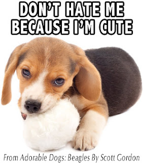 A Journey into Indie Publishing: Meme of the Day