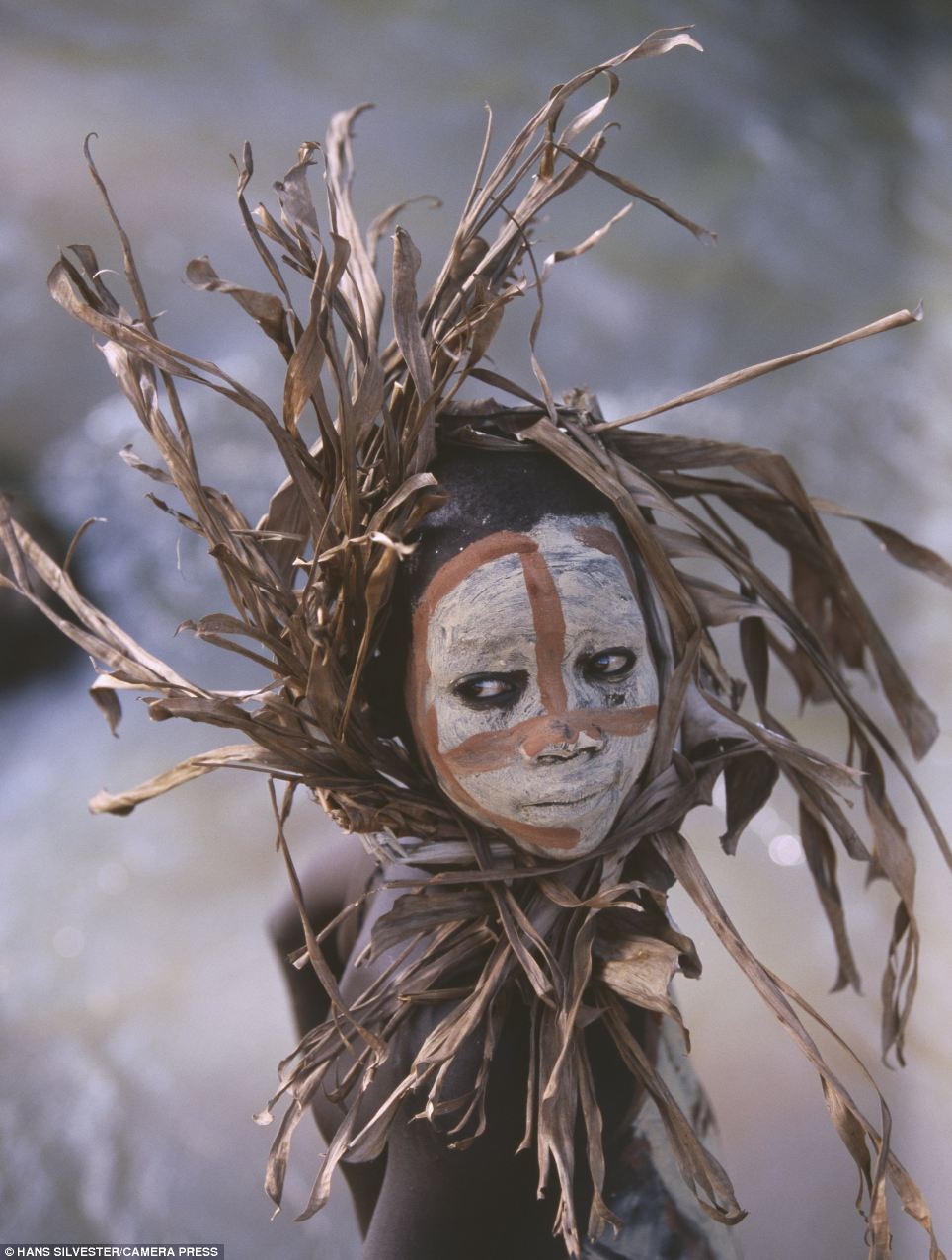 White Wolf : Amazing photographs reveal the fascinating world of the ...