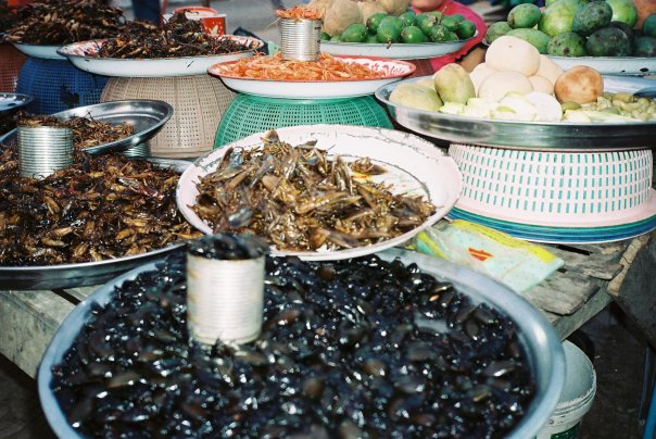Karuchā Baruchā: Nosh of the Day: delicious crunchy cockroach