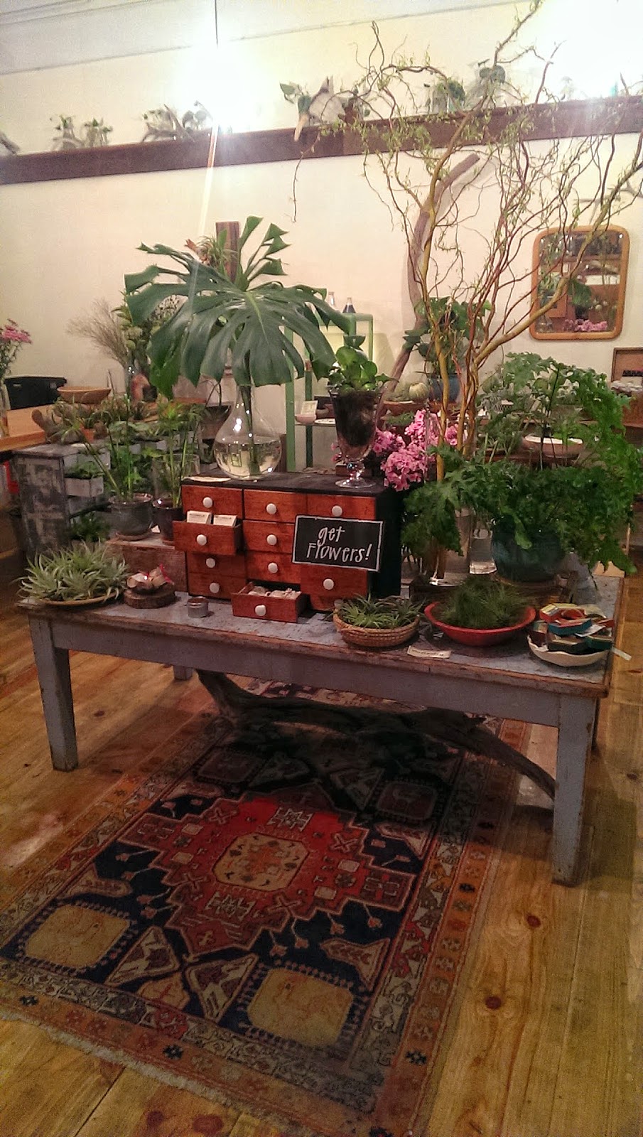 The Outlaw Gardener: Visiting Solabee and Boys' Fort