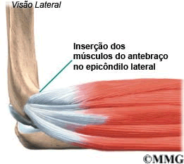 Cinesiologia: Cotovelo