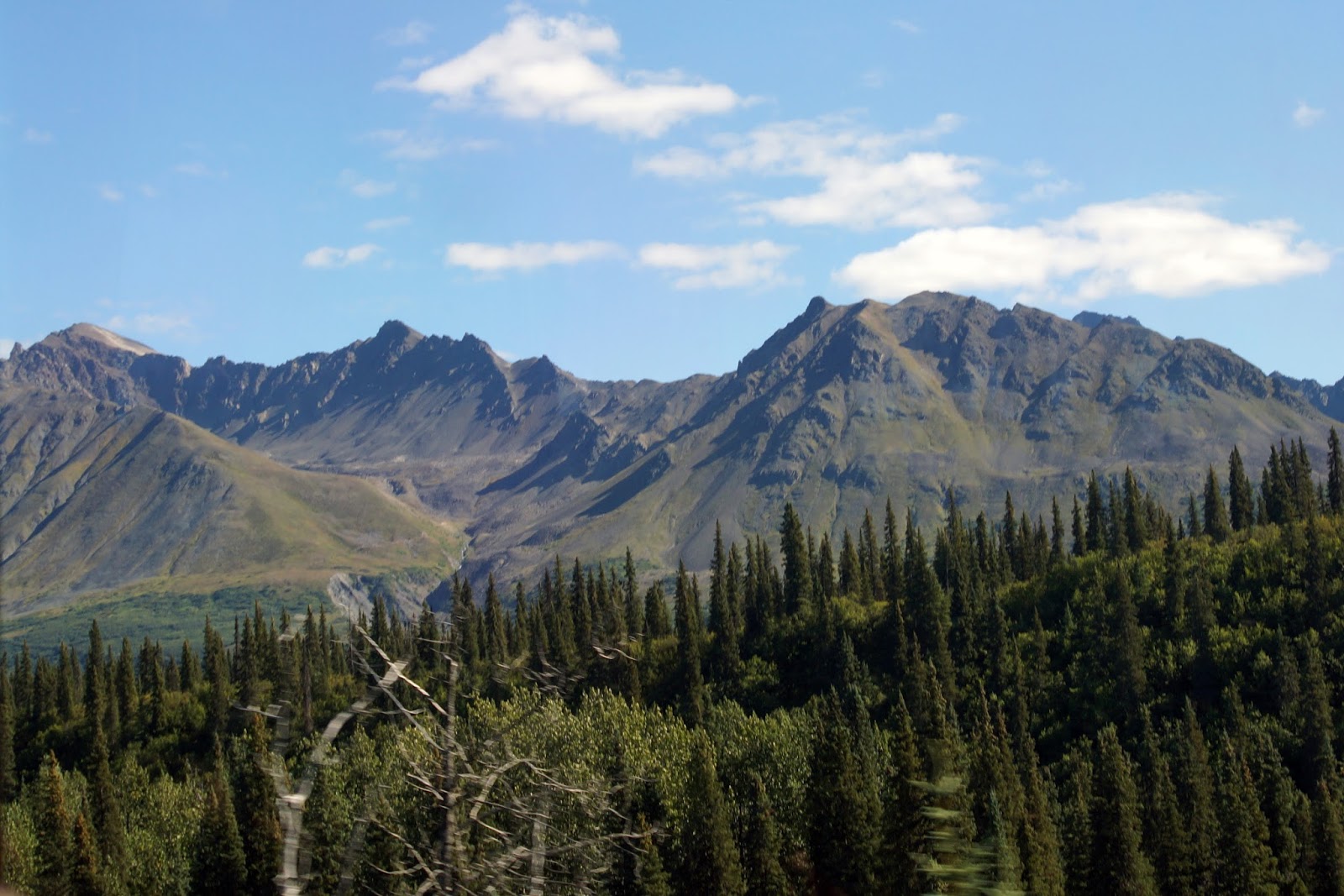 Continually Surprised!: By Train to Anchorage