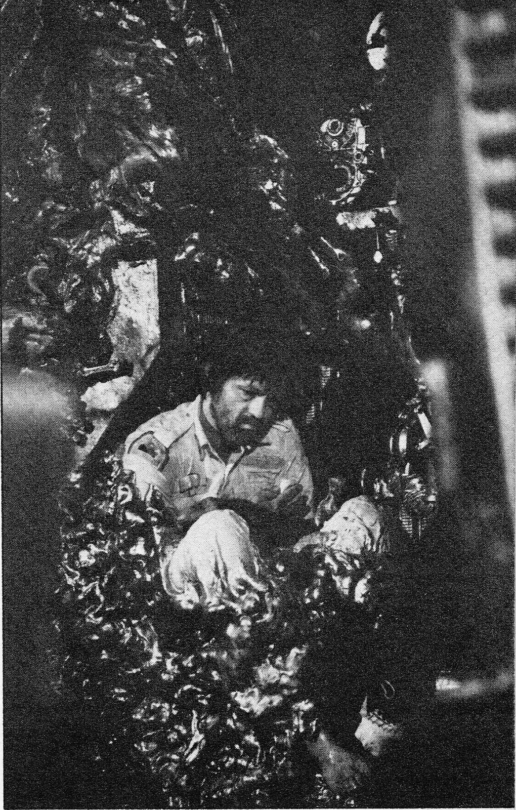 Alien Explorations: Alien: Human To Spore