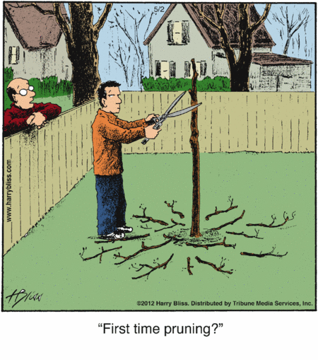 Funny Tree Cutting Memes