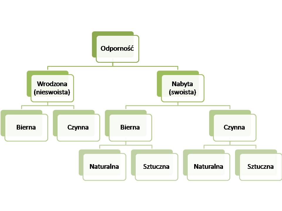 Układ odpornościowy - podsumowanie (zakres rozszerzony) – zadania ...