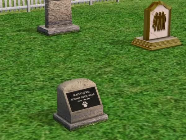 The Sims 2 Guide, Tips and Tricks: Resurrection