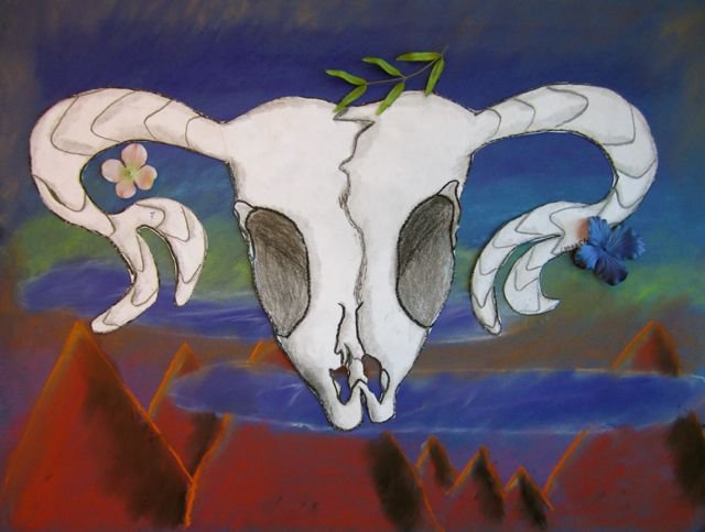 GEORGIA O'KEEFFE INSPIRED SKULLS