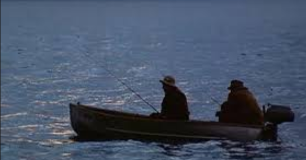 TRADERZOO GOLD: FREDO GOES FISHING