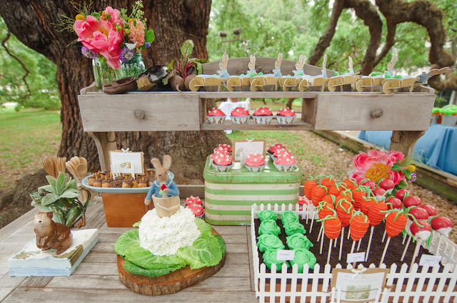 Holly Brooke Jones: Peter Rabbit Birthday Party