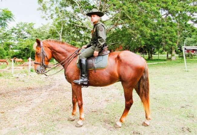 Equinos bien cuidados, héroes de la Policía
