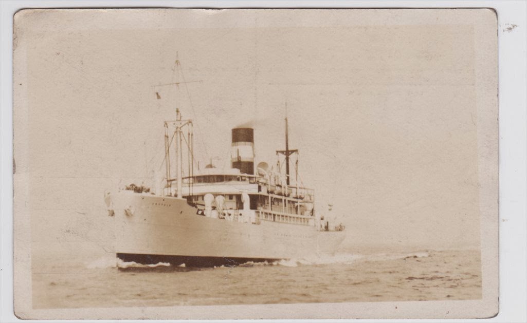 CAMINO REAL. CRONICAS DE LA HISTORIA DE HONDURAS: LA VACCARO BROS