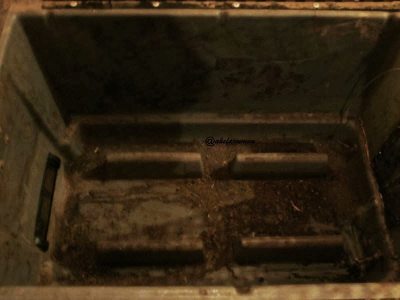 Tales of a Kansas Farm Mom: Warming Baby Calves