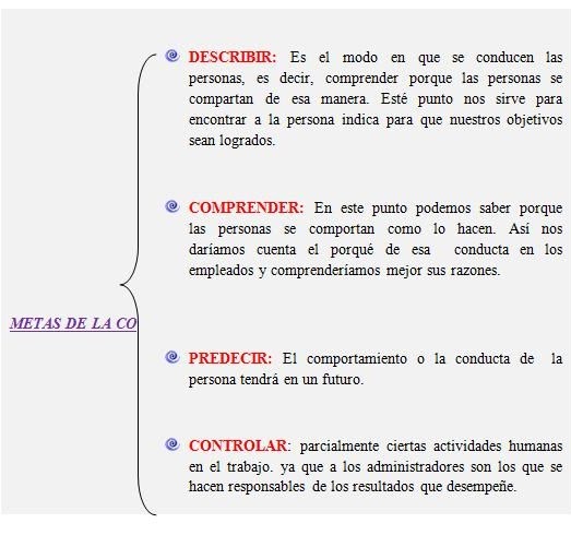 MODELOS Y FUNDAMENTOS DEL COMPORTAMIENTO ORGANIZACIONAL: FUNDAMENTOS ...