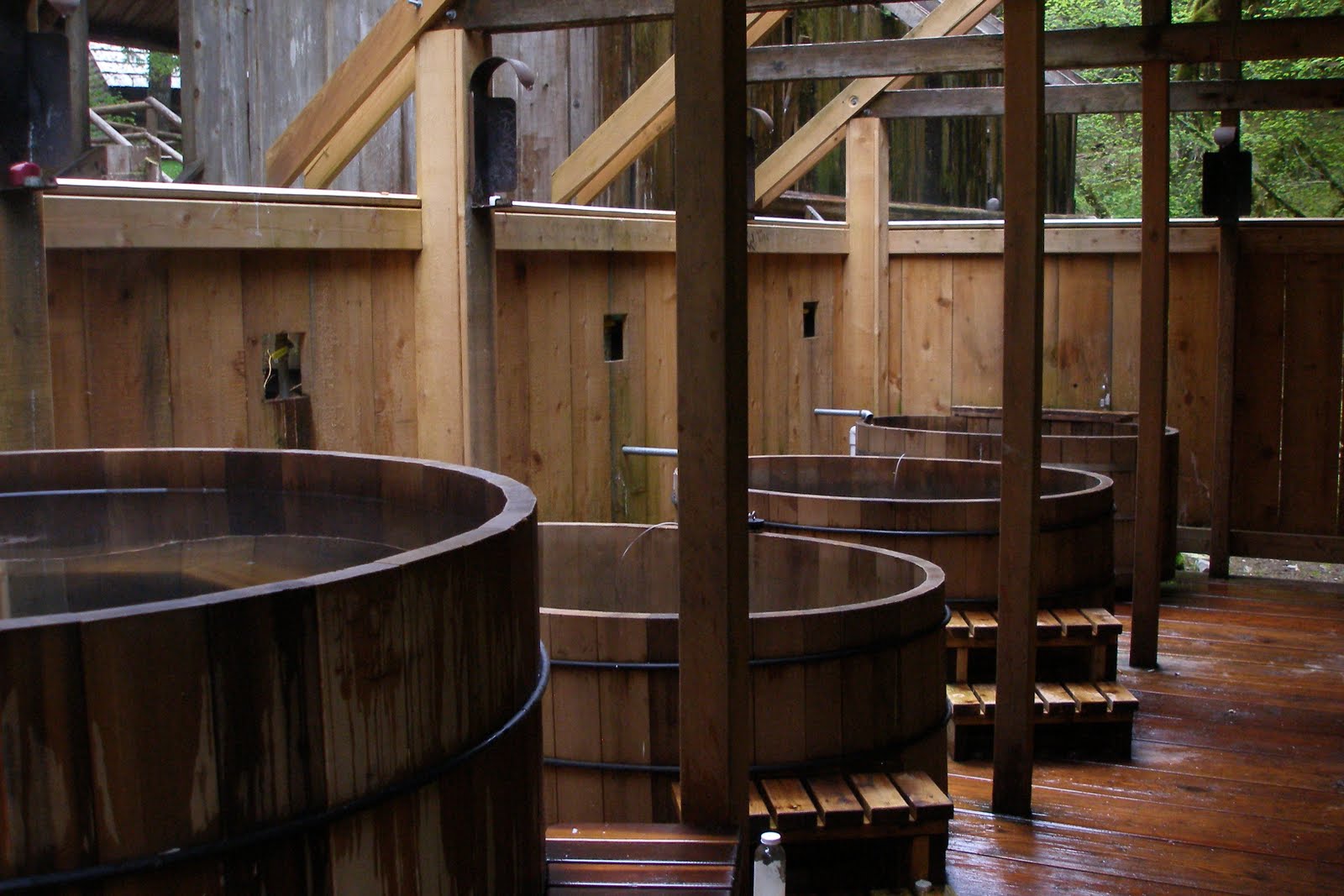 Water, Rocks, and Trees: Bagby Hot Springs