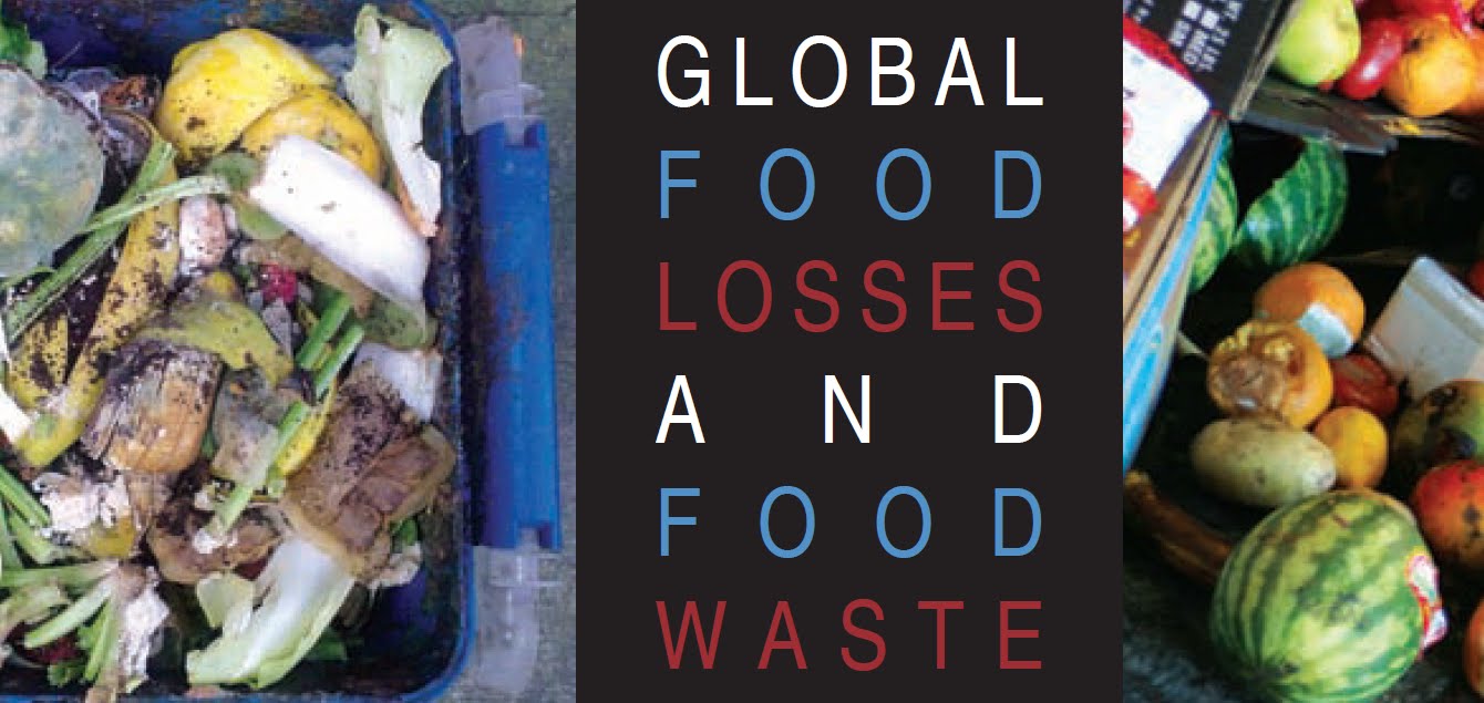 Waste Biorefinery: 1,300,000,000 tons/year food waste!