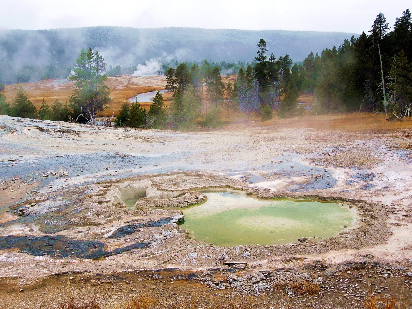 Focusing On Travel : Yellowstone: A Geyser Gazers Guide to the Upper ...